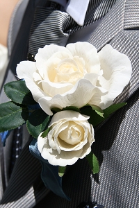 display of maco style flower